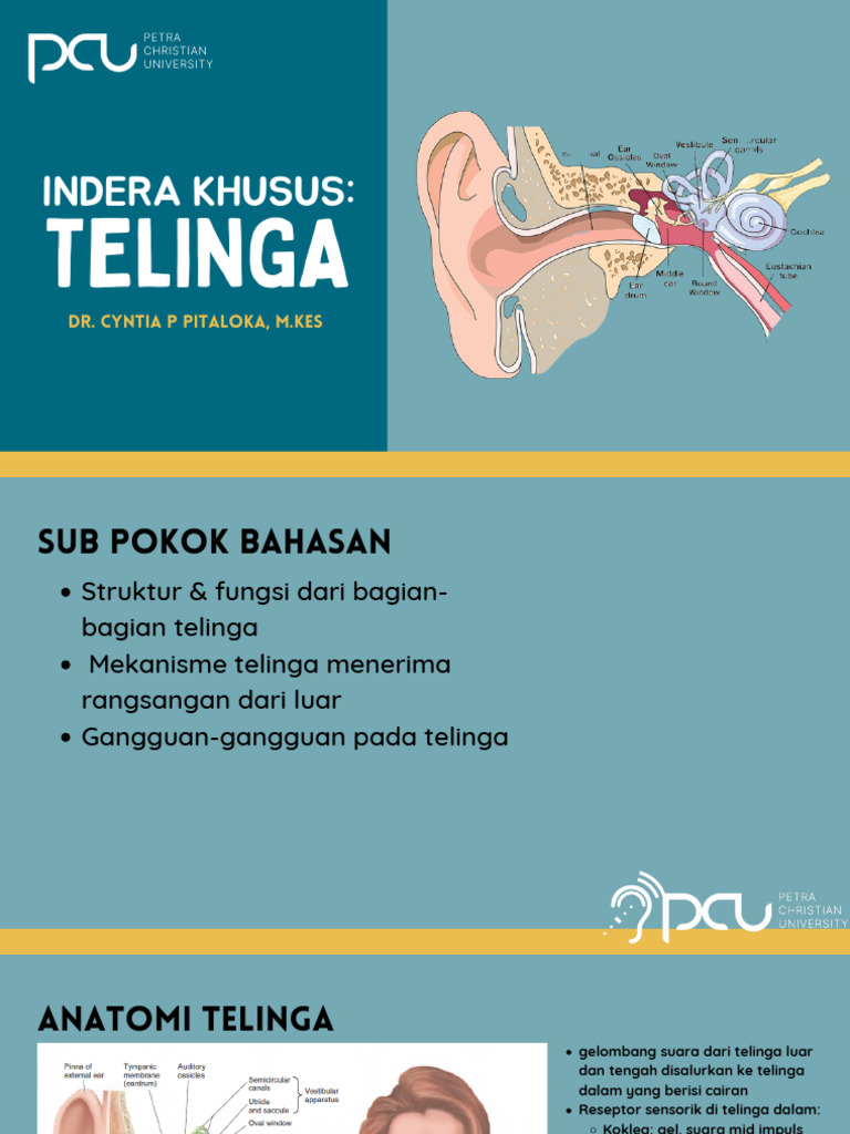 Telinga | PDF