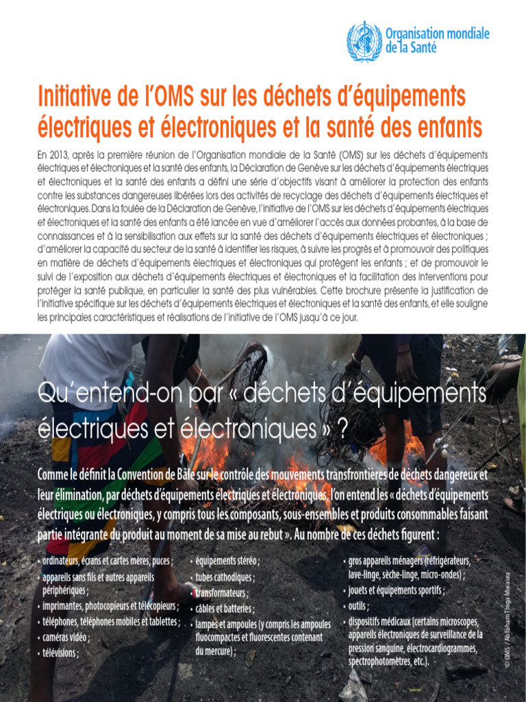 WHO HEP ECH CHE 21.01 Fre | PDF