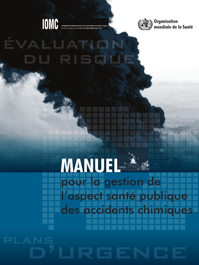 Évaluation Du Risque: Manuel | PDF