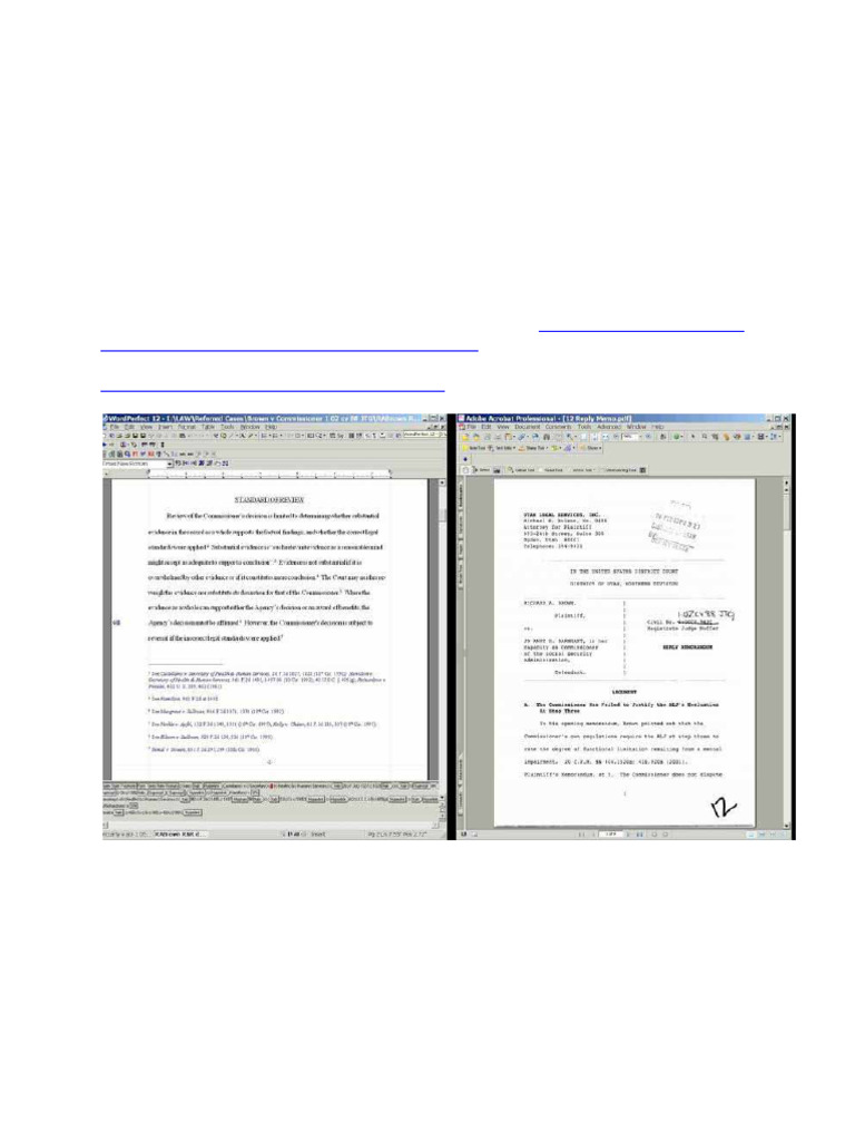 Multiple Monitors | PDF