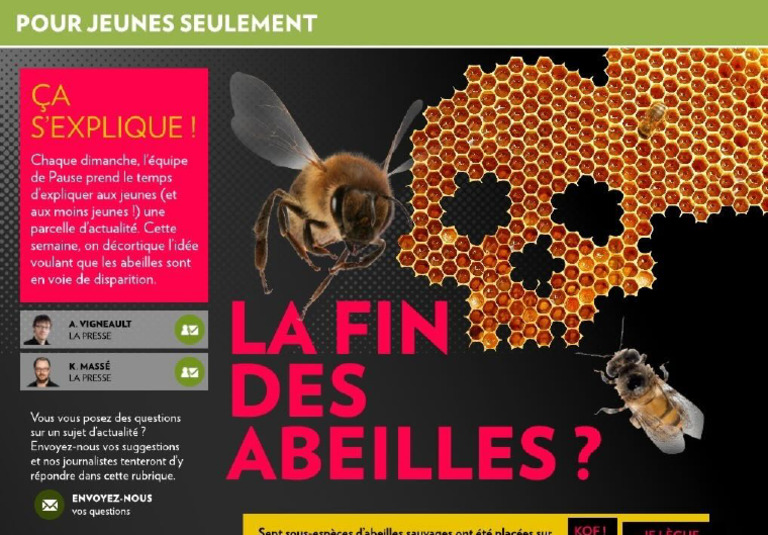 Bees Extinction | PDF