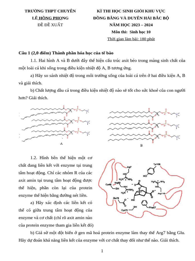 ĐỀ ĐỀ XUẤT MÔN SINH 10 NAM ĐỊNH | PDF