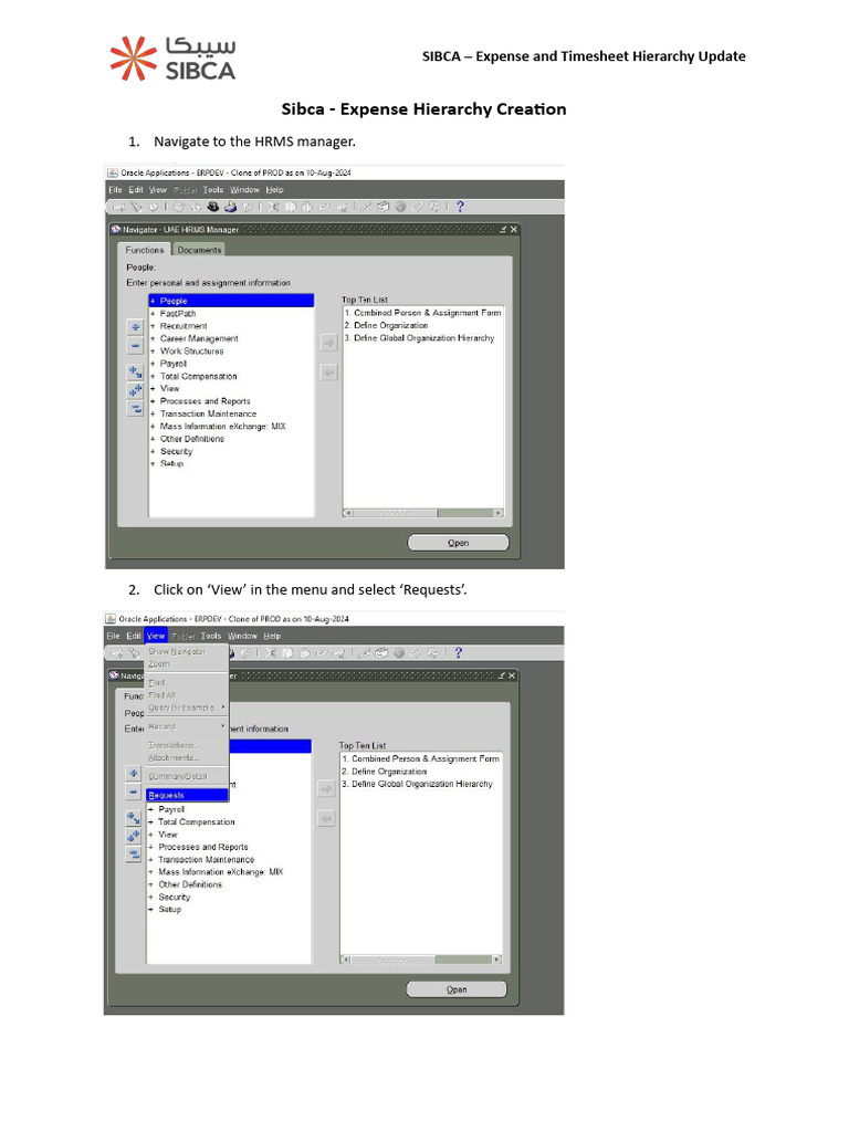Sibca - Expense & Timesheet Hierarchy | PDF
