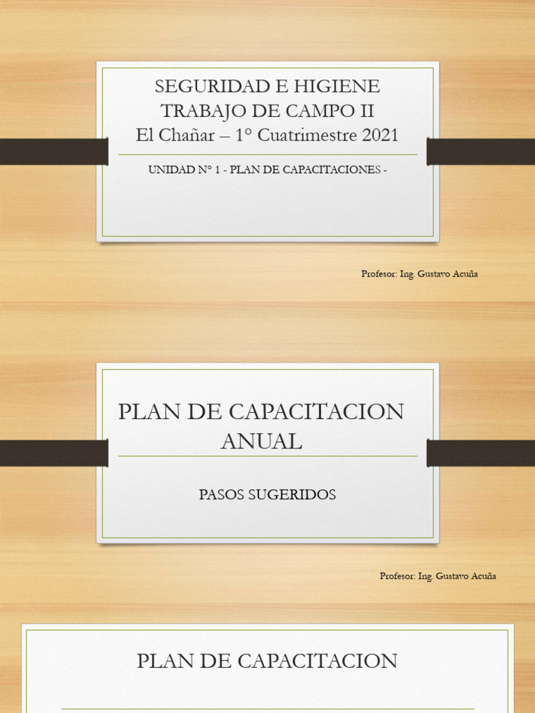 Plan de Capacitacion Anual-1 | PDF