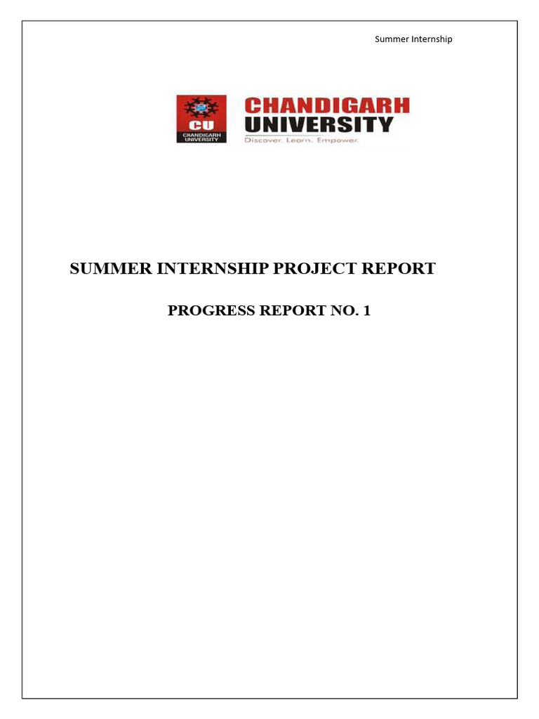 SIP-1st Report | PDF