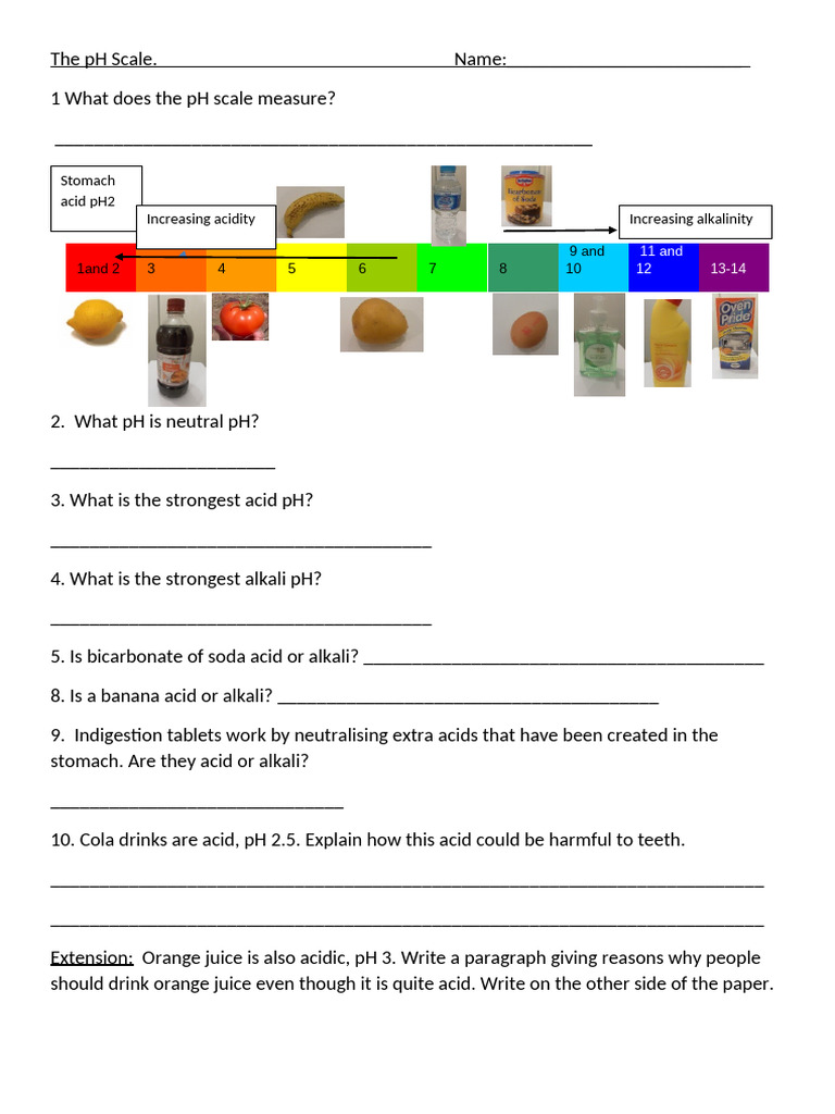 The PH Scale | PDF