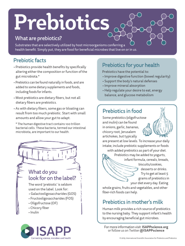 Prebiotics_Infographic_rev1029 | PDF