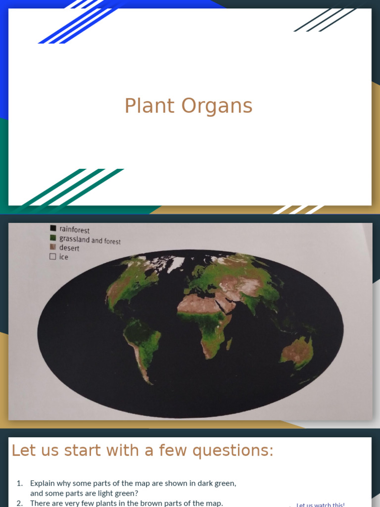 Understanding Plant Organs and Functions | PDF