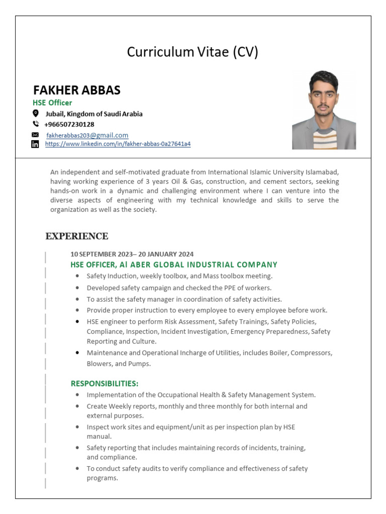 HSE Curriculum Vitae Fakher-Abbas | PDF