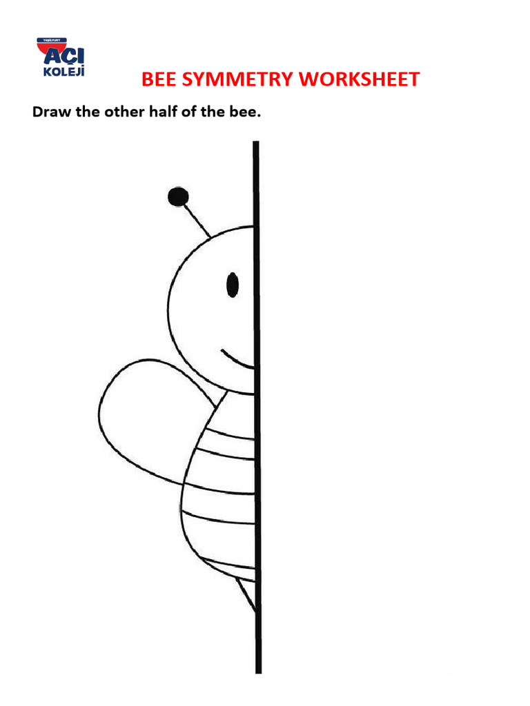 Bee Symmetry | PDF