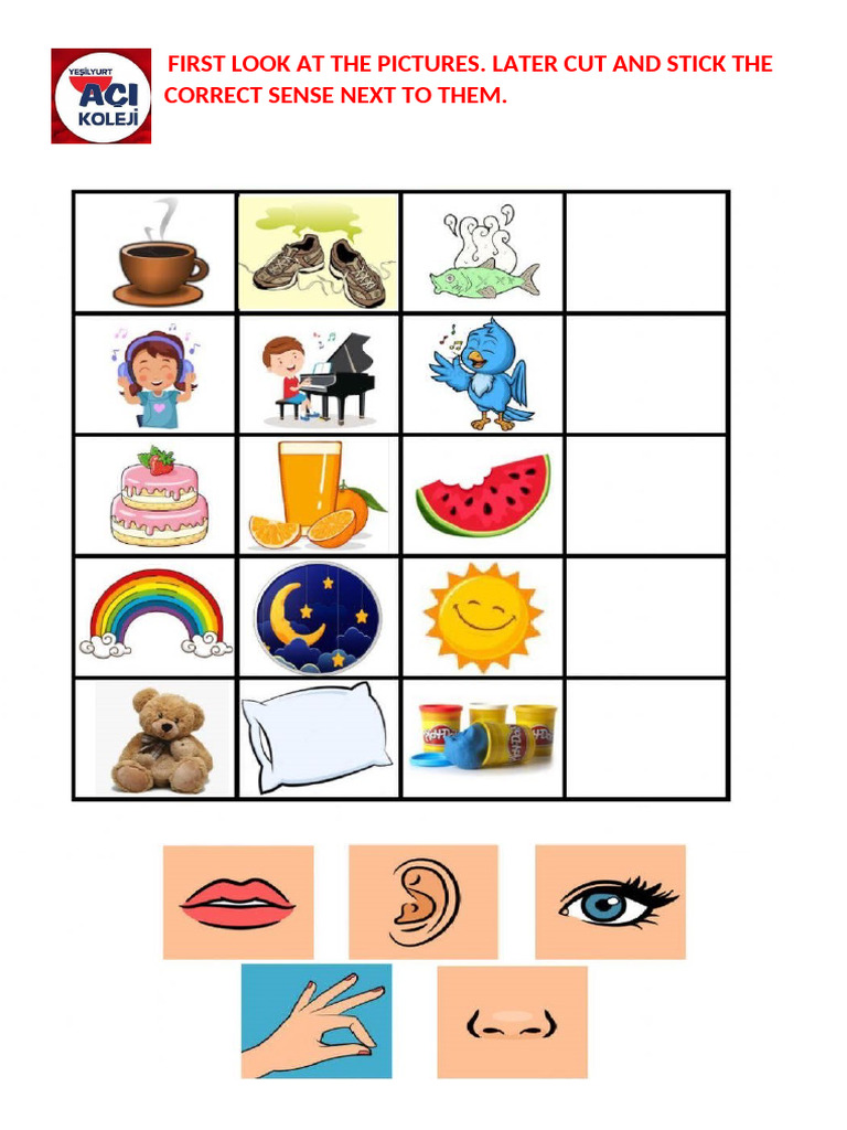 5 SENSES Cut and Paste | PDF