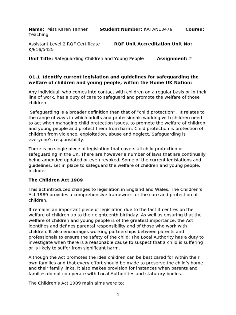 Level 2 Safeguarding Children and Young | PDF