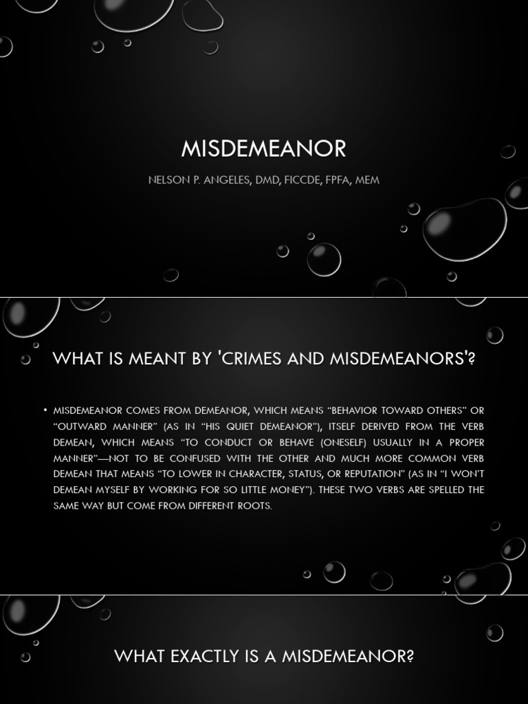 Mod 11 Misdemeanor | PDF