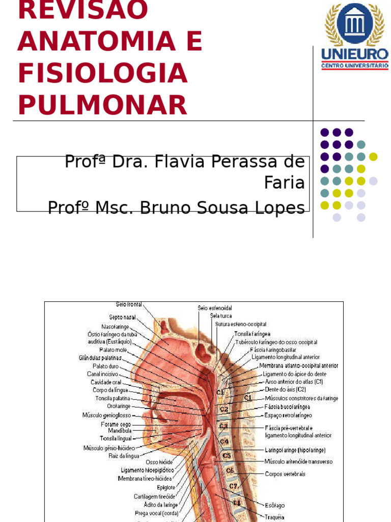 PNEUMO Aula 01 RevisÃ o Fisiologia Basica | PDF