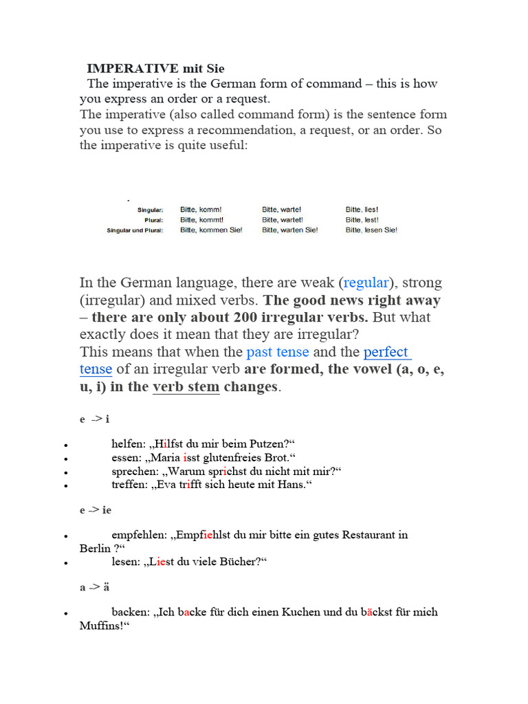 Imperative Mit Sie | PDF