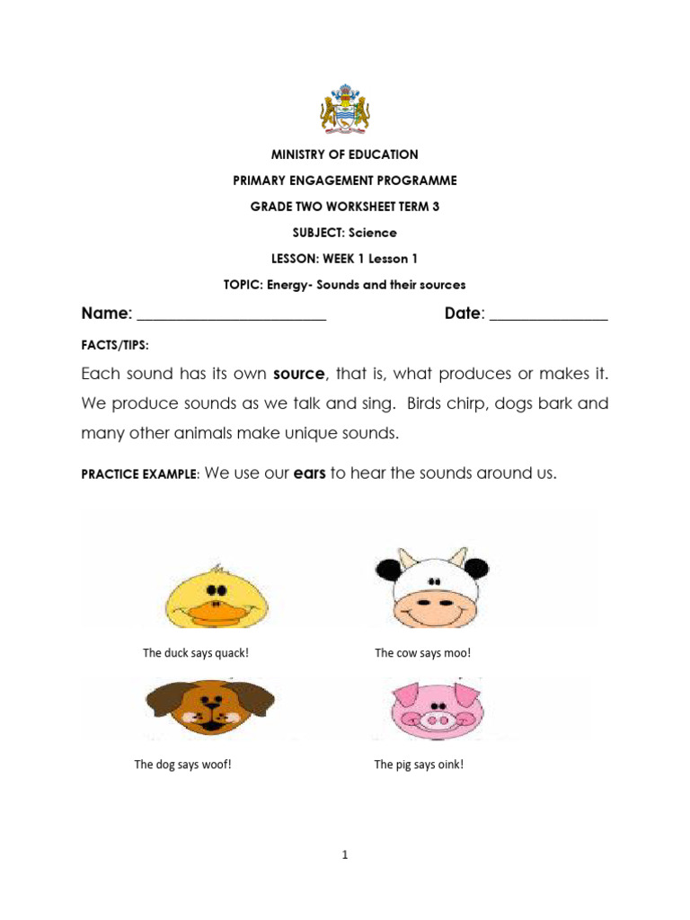 Grade 2 Science Weeks 1-6 Worksheets - Term 3 | PDF | Foreign Language ...
