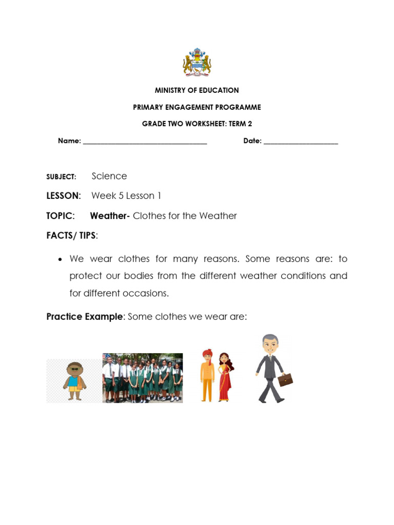 Grade 2 Science Weeks 5-8 Worksheets - Term 2 | PDF