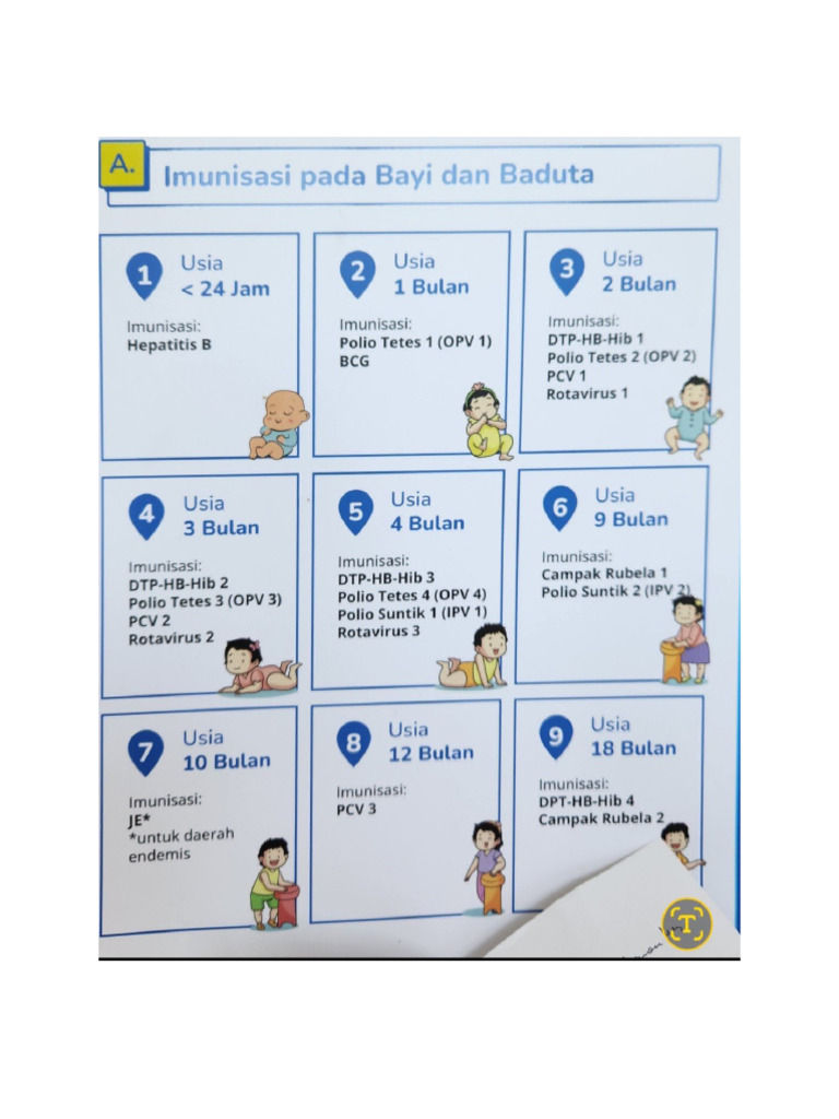Daftar Imunisasi Bayi Dan Baduta | PDF