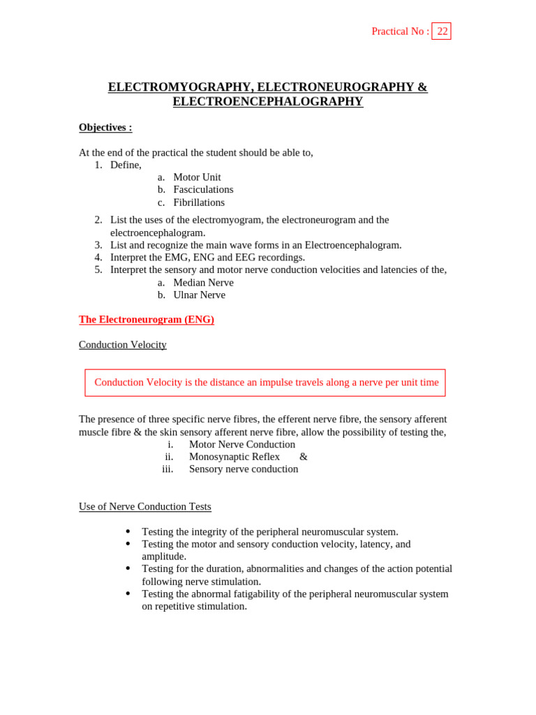W Electromyography | PDF