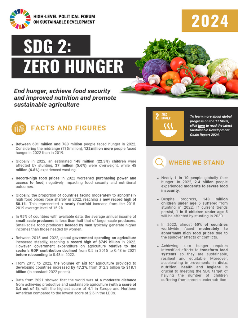 2024 Factsheet SDG2 | PDF