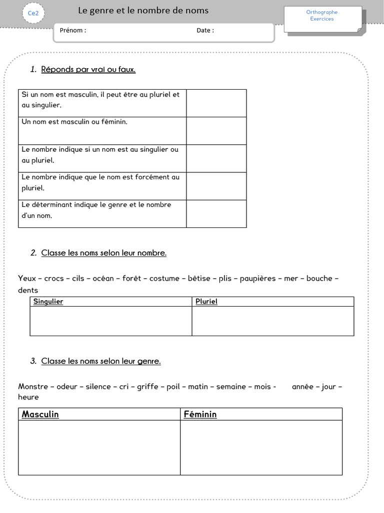 Exercices Genre Et Nombre Des Noms Non Dys | PDF