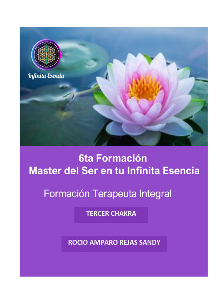 Manual 3 Chakra 2023 | PDF