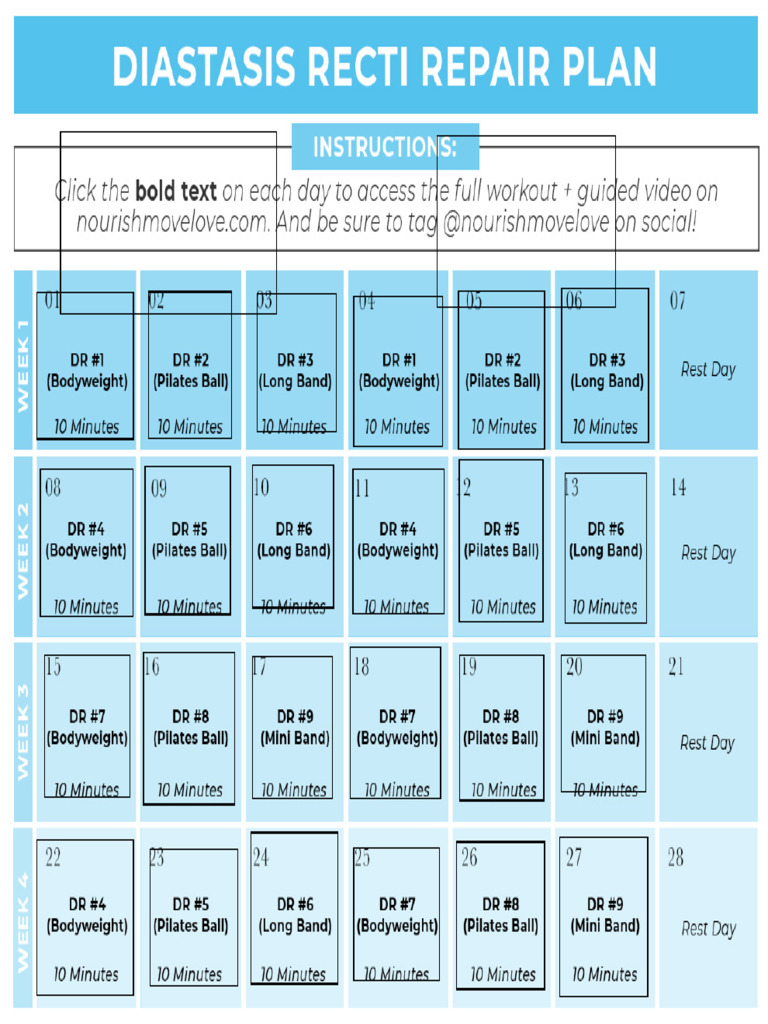DR Calendar PDF | PDF