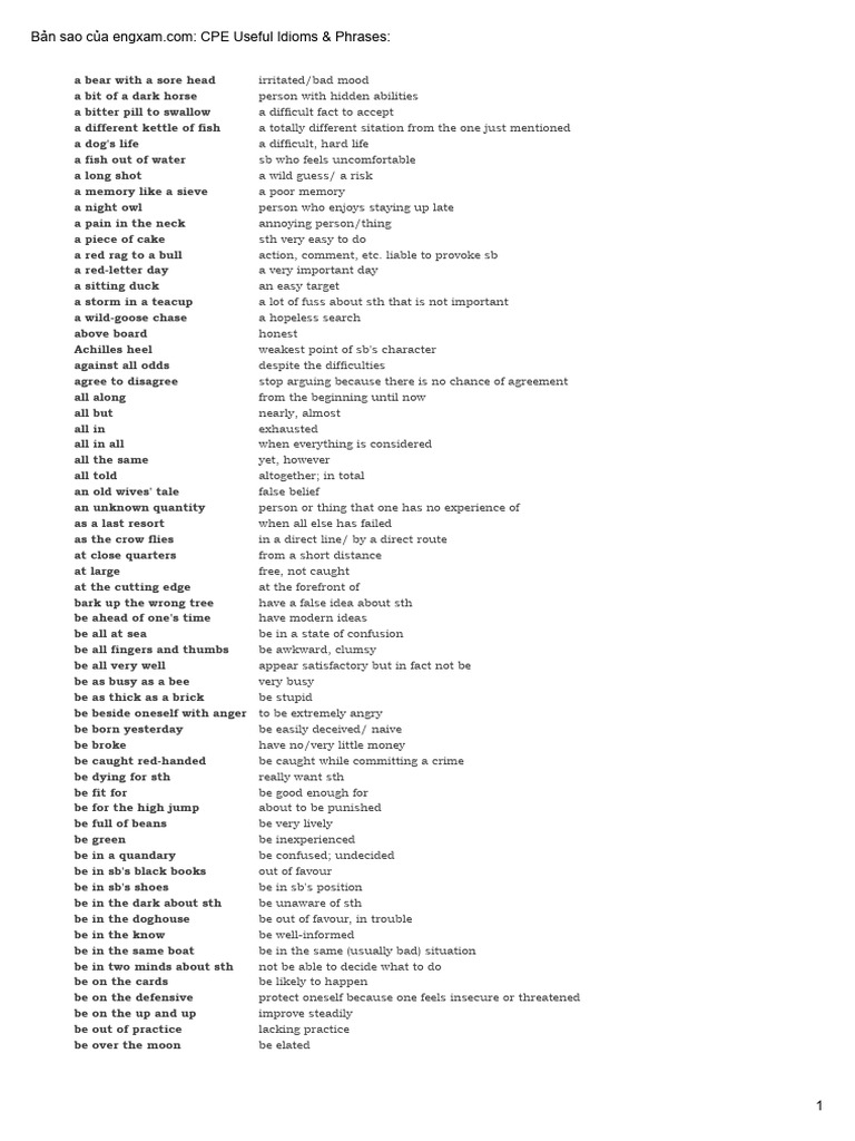 CPE Useful Idioms & Phrases | PDF