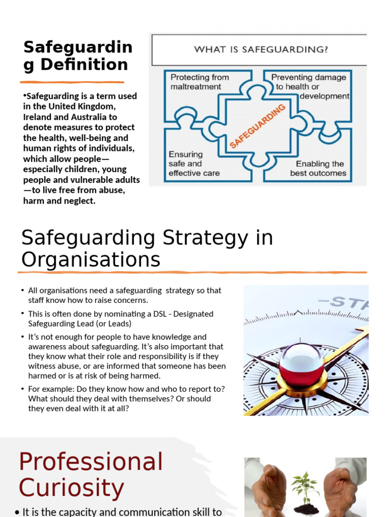 Safeguarding PPT Slides 1 | PDF