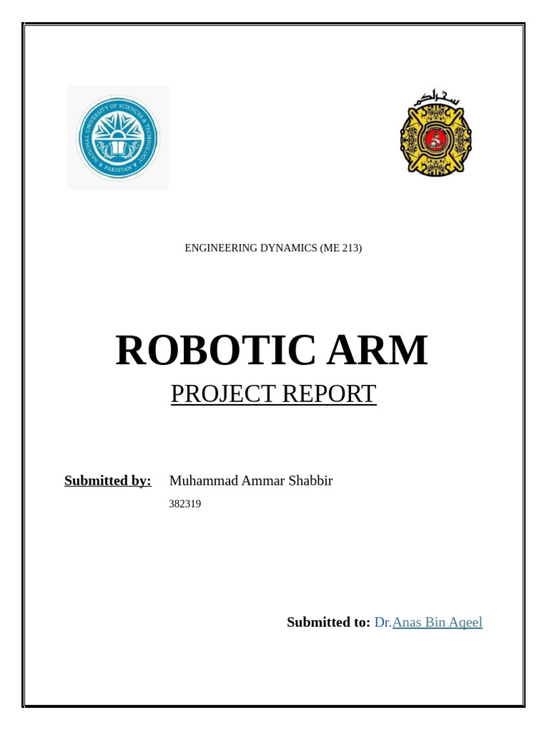 Dynamics Project Report | PDF