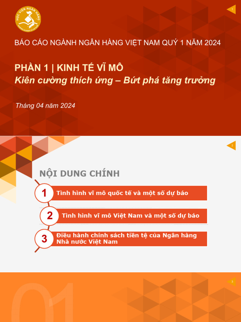 BAV - Vietnam Banking Report 2024Q1 (VNM) - Summary | PDF