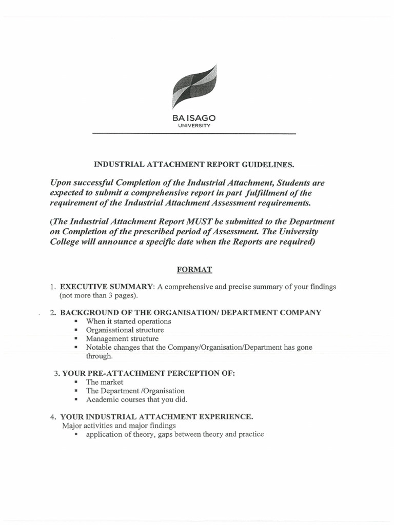 Report Guidelines Pdf