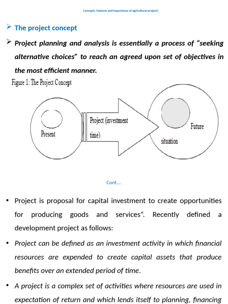Project Planning | PDF