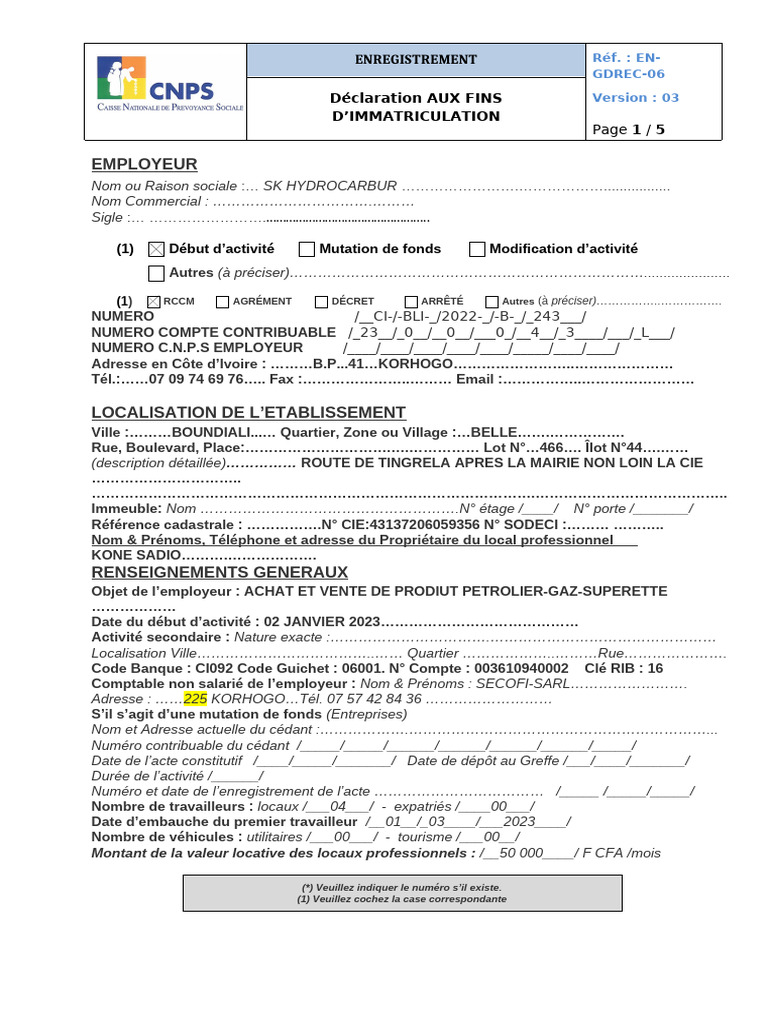 Declaration Aux Fins D'immatriculation | PDF