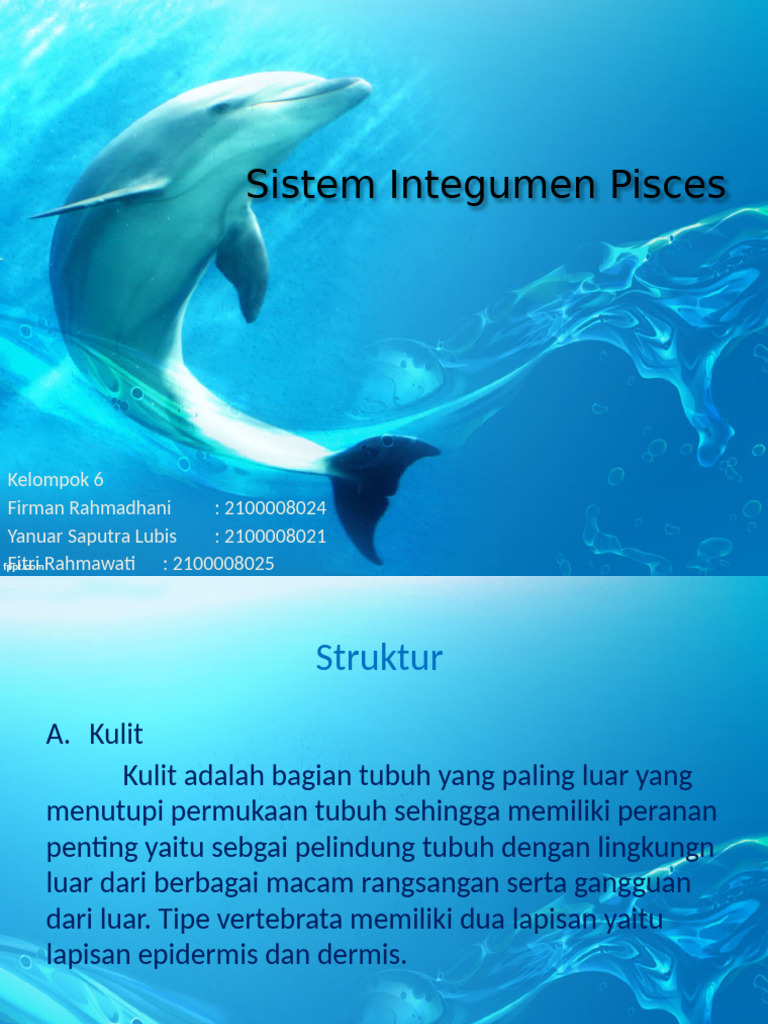 Sistem Integument Pisces - Kel 6 | PDF