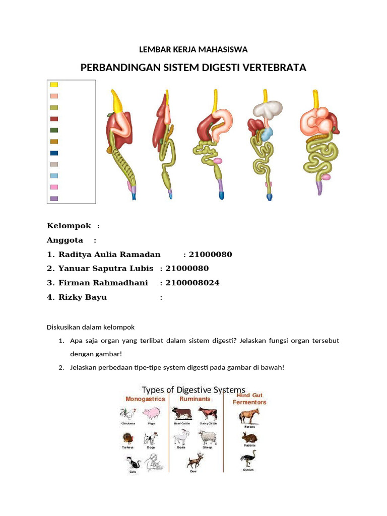 Kel. 10 - Perbandingan Sistem Digesti Vertebrata | PDF
