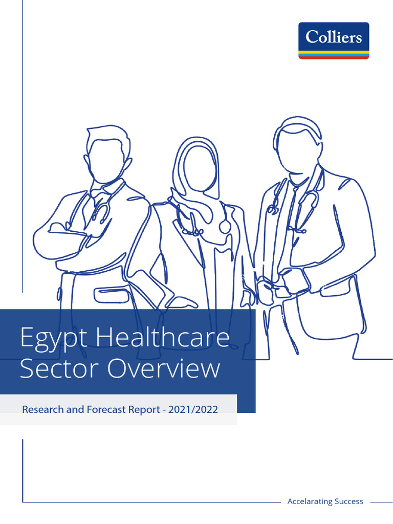 Egypt Healthcare Overview | PDF