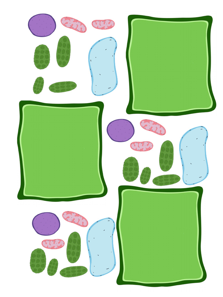 PDF-Plant Cell -Sticker Printout | PDF