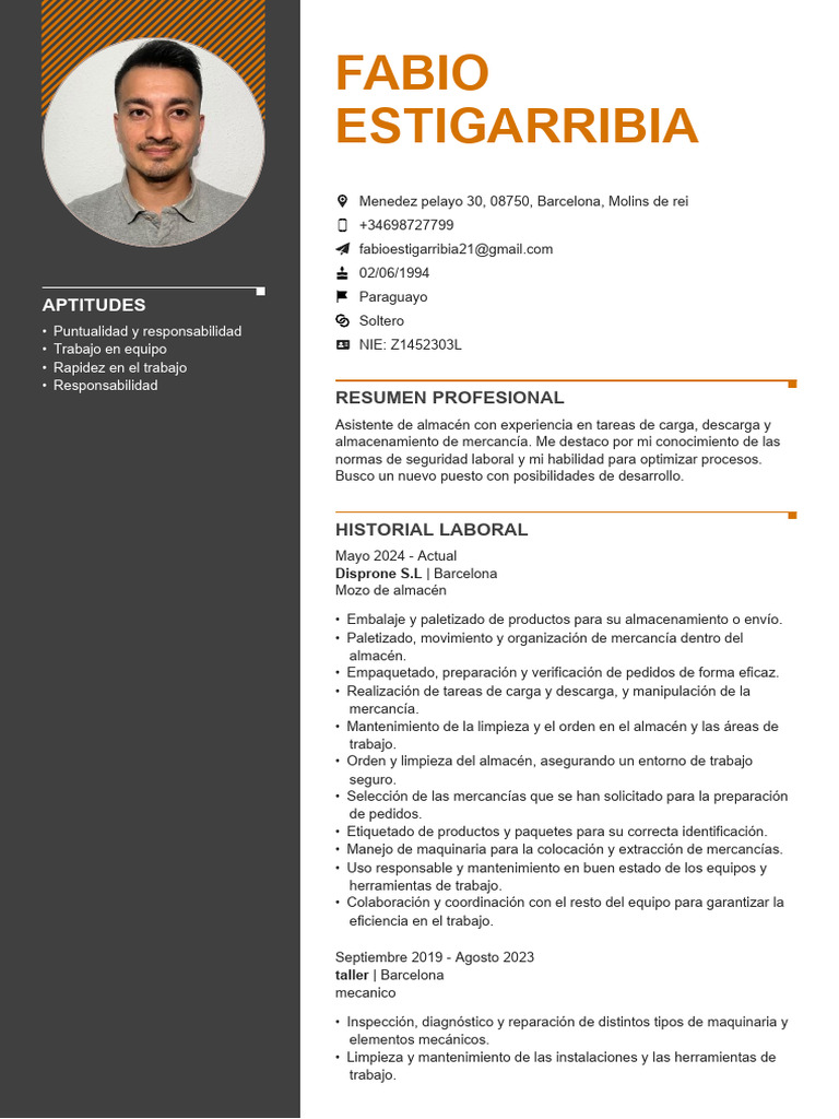 Fabio Estigarribia CV | PDF