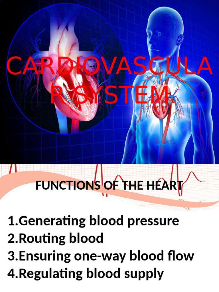 Cardiovascular System | PDF
