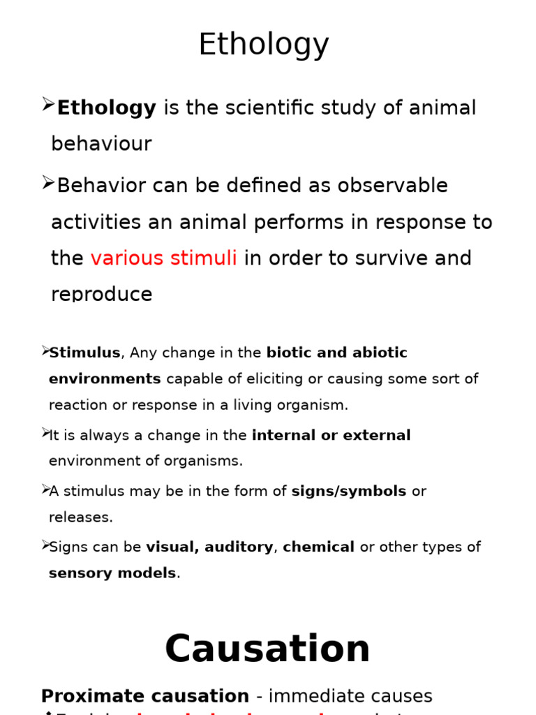 Animal Behavior - Presentation | PDF | Reinforcement | Ethology