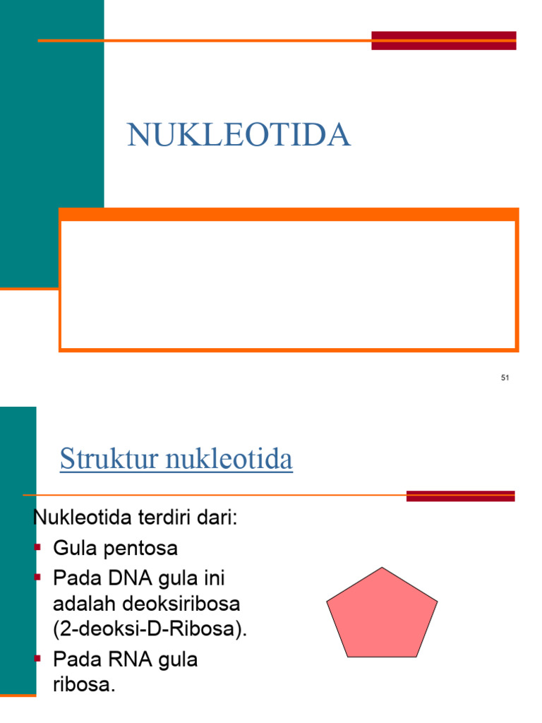 Struktur Dan Fungsi Nukleotida | PDF