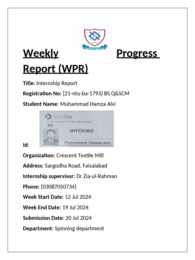 Weekly Progress Report | PDF