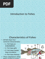 Lesson 4 - Morphology of Common Fish - Its Parts Functions | PDF | Fish | Human Body