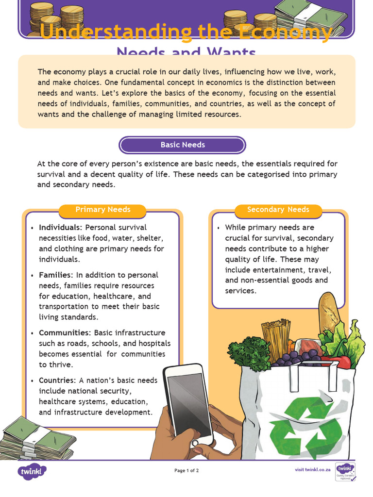 Needs and Wants | PDF