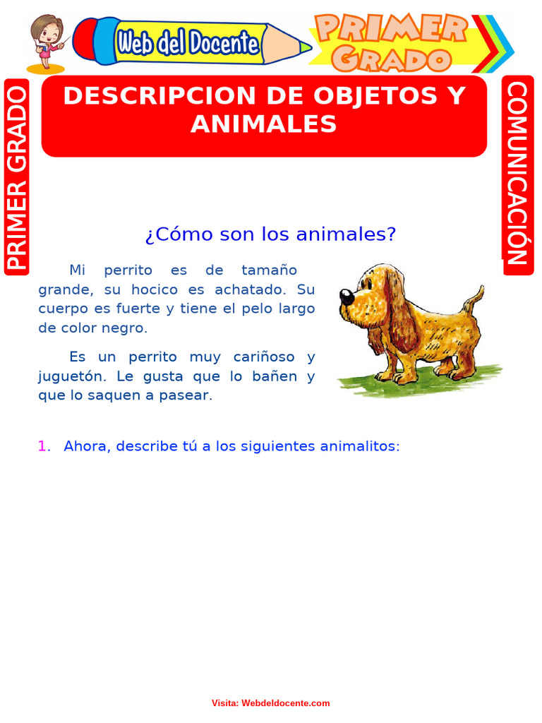 Descripción de Objetos y Animales para Primero de Primaria | PDF