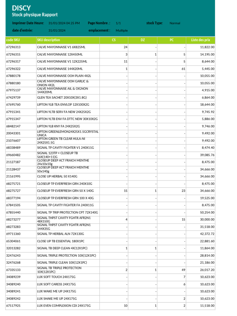 CDI Physical Stock Report 31 01 DISCY | PDF