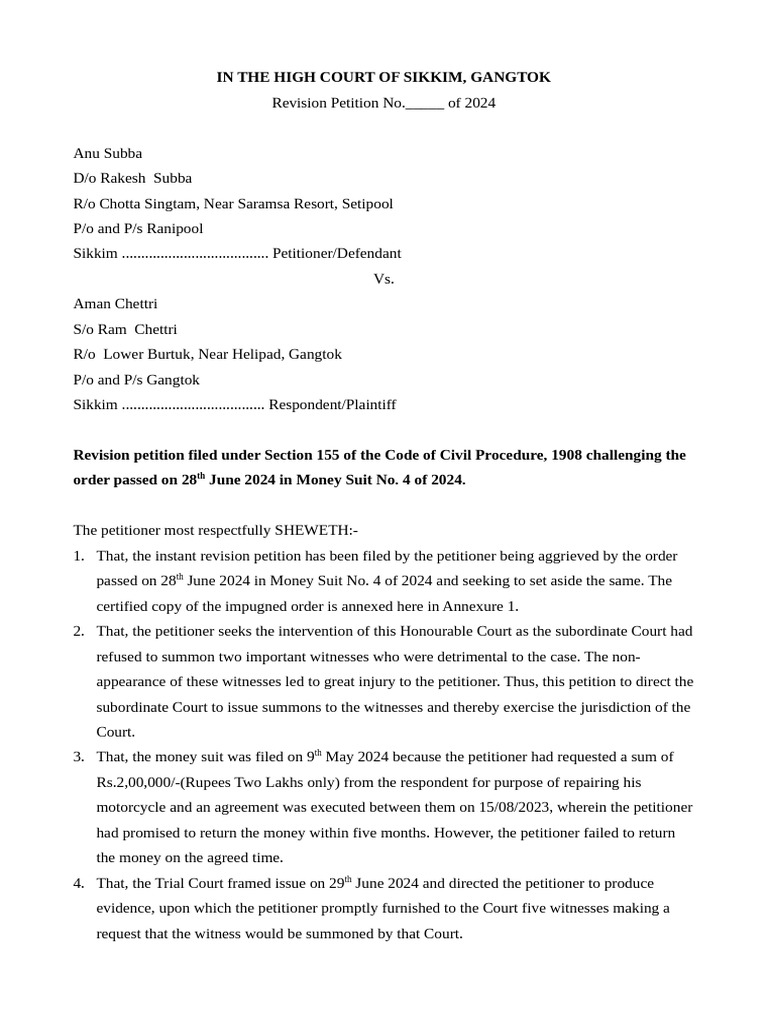 Revision Petition | PDF