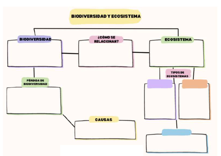 Mapa Conceptual para Llenar | PDF