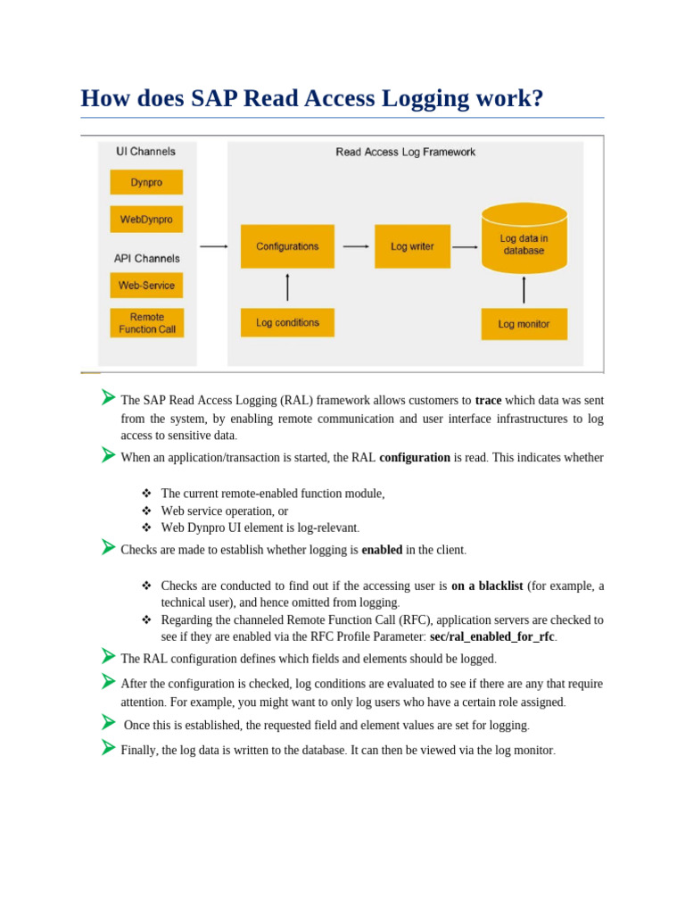 How Does SAP Read Access Logging Work | PDF